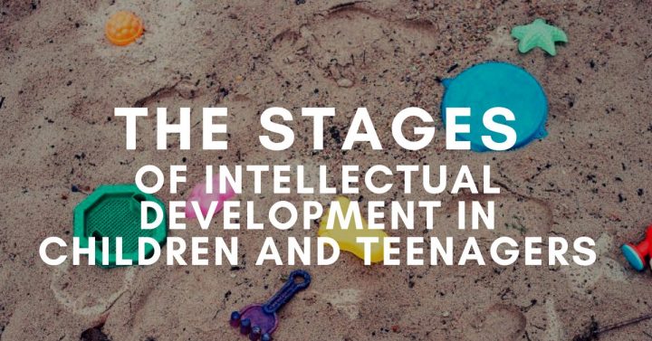 They Learn Fast! Understand Your Kid's Intellectual Development